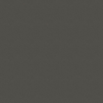 Dekor U 162 PE Graphitgrau | Webshop | ZEG Zentraleinkauf Holz ...