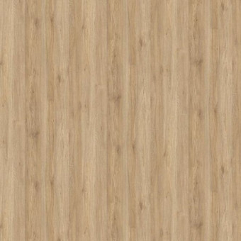 Kaindl Dekor 34136 RV Eiche Sanremo Natur | Webshop | ZEG ...