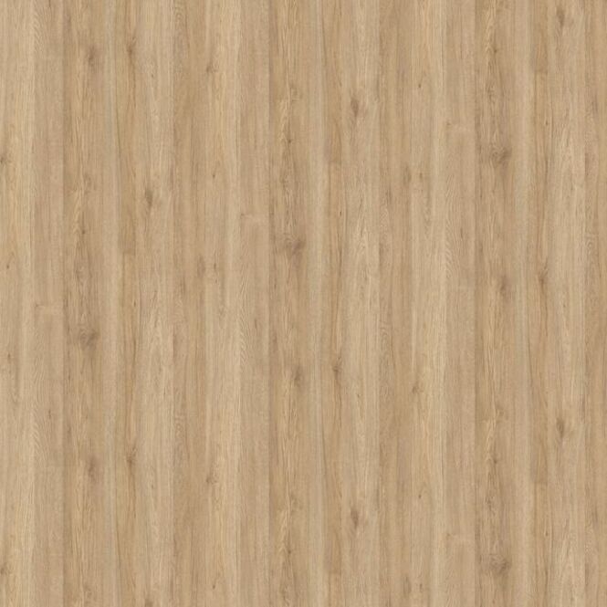 Kaindl Dekor 34136 RV Eiche Sanremo Natur | Webshop | ZEG ...