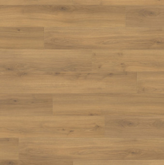 Tritty 100 TC, LD Eiche Emilia Honig auth. 4V | Webshop | ZEG ...