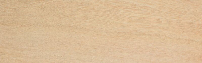 ZEG Holz-Lasur farblos | Webshop | ZEG Zentraleinkauf Holz + Kunststoff eG