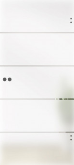 ESG Ganzglastür Atos, Streifen klar, Fläche matt | Webshop | ZEG ...